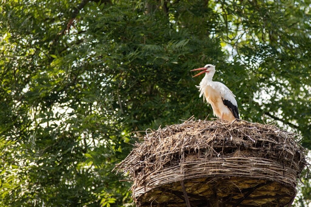 Clatter Dream meaning - dream-dictionary.com