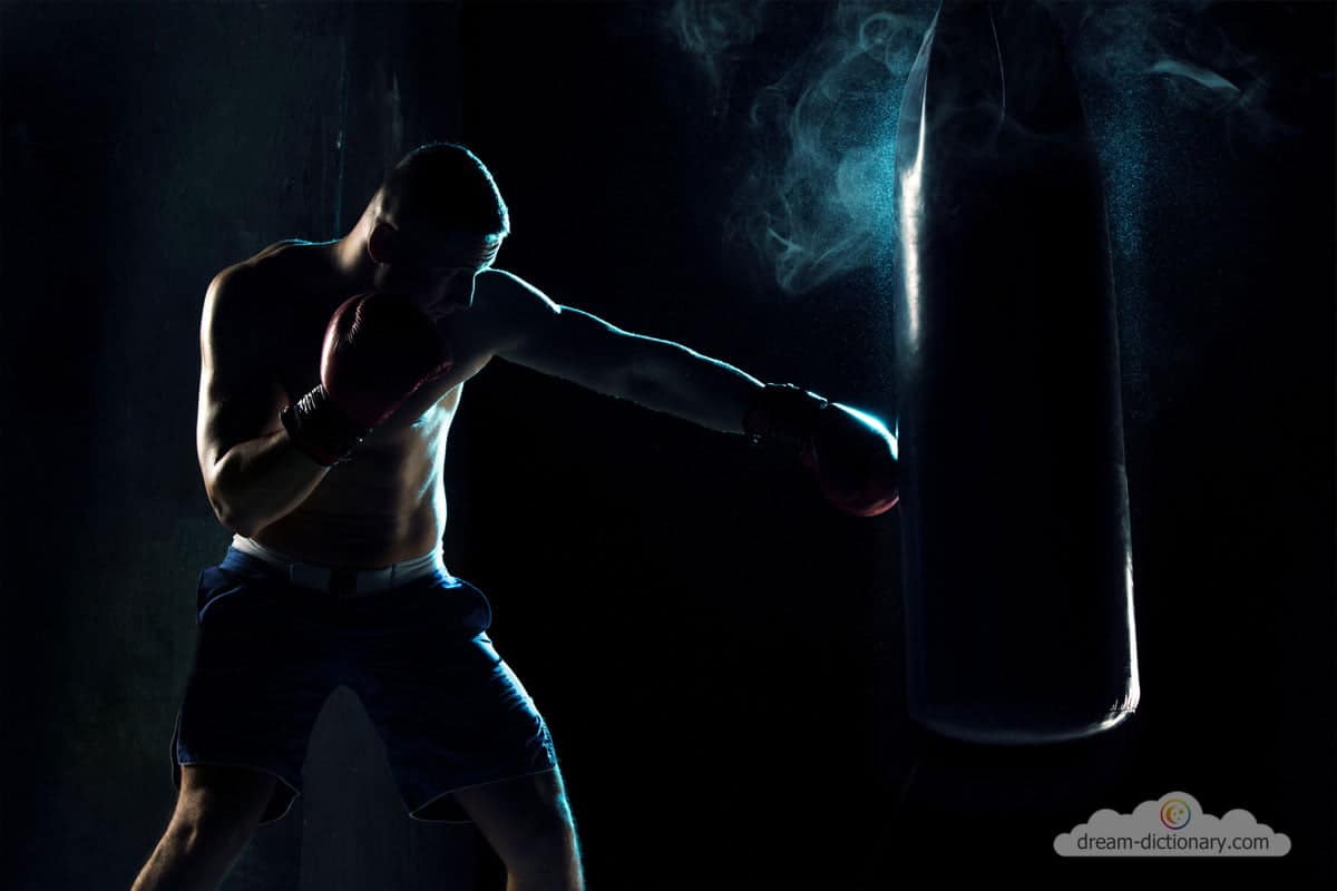 Fight Dream Meaning - Dream Dictionary